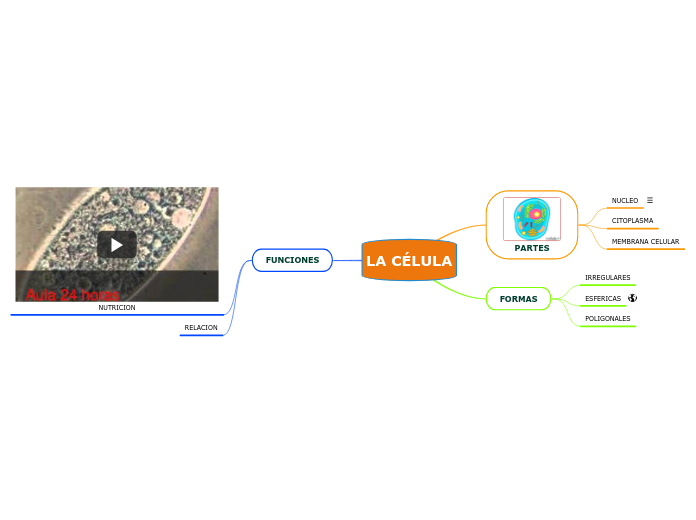 LA CÉLULA - Mind Map